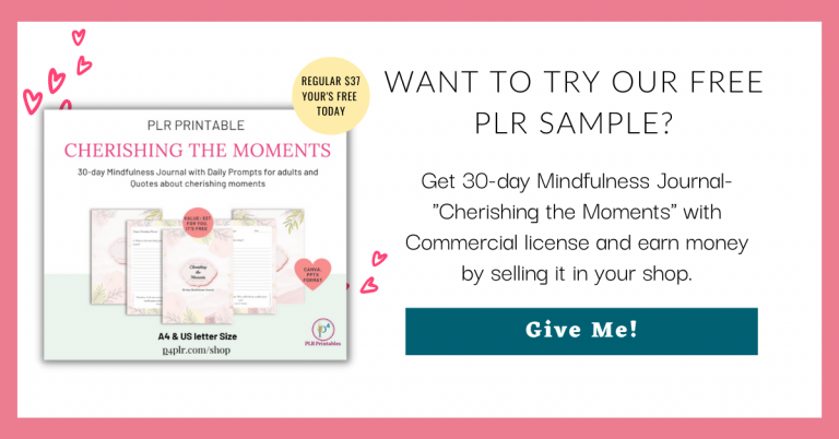 How to use PLR Products to Make Money {30+ Proven Ways} - P4 PLR